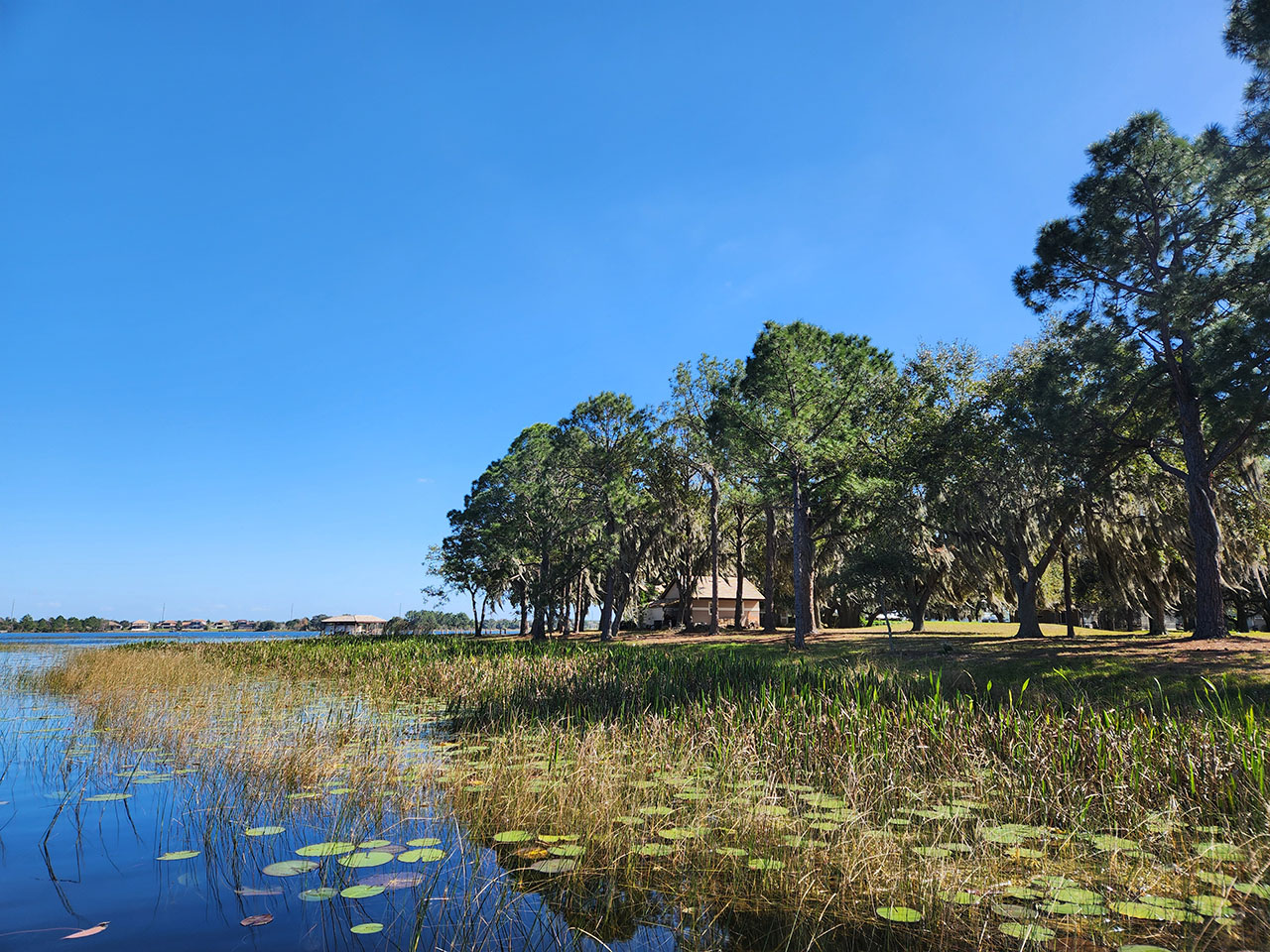 Healthy Lakes Need Living Lakeshores